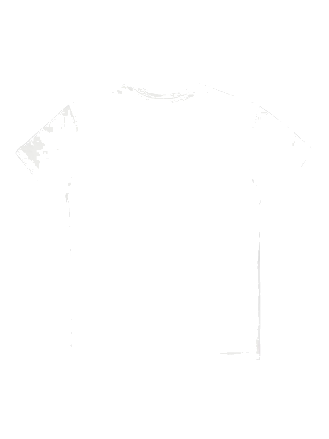 Assassin's Creed Valhalla Wolf T-Shirt | Nerdom