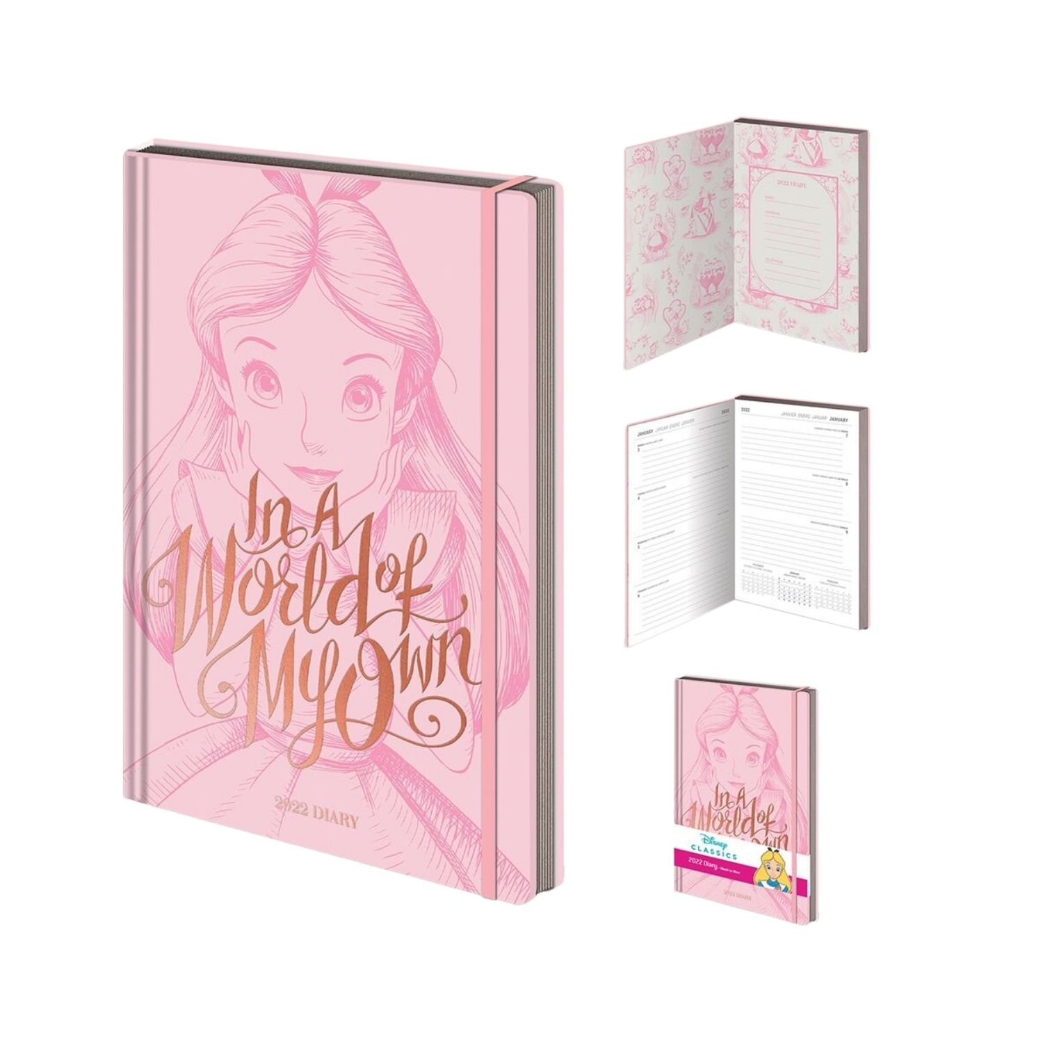 Alice in Wonderland (In a World of My Own) 2022 Diary | Nerdom, Greece