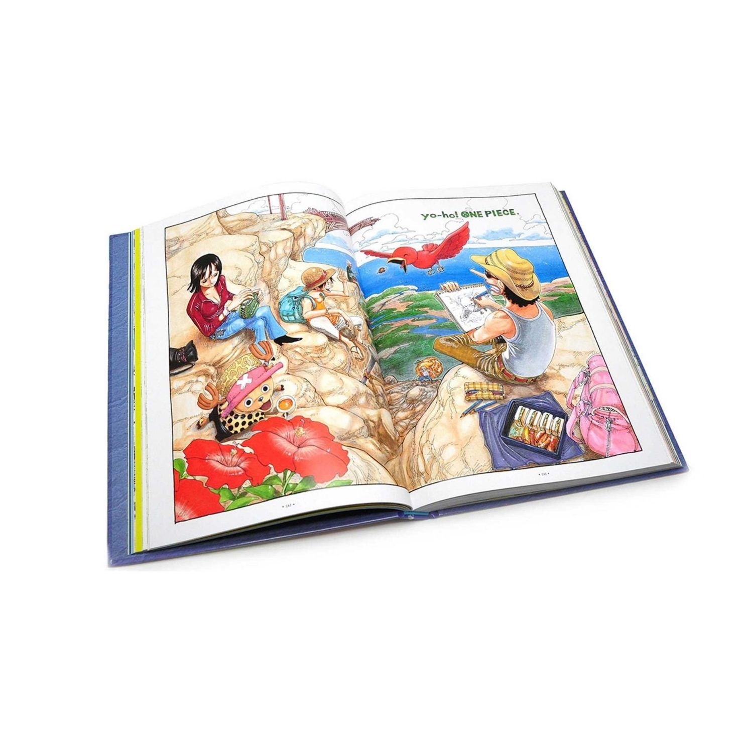 One Piece Color Walk Compendium: East Blue to Skypiea | Nerdom, Greece