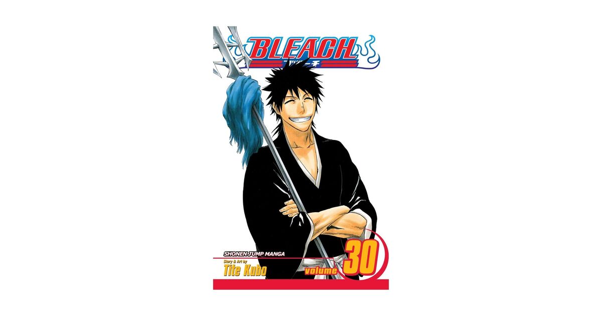 Bleach Vol.30 | Nerdom