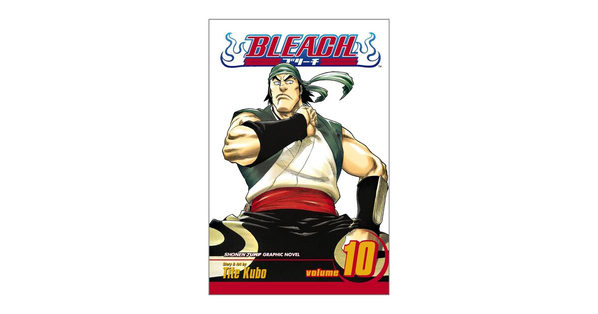 Bleach Vol.10 | Nerdom