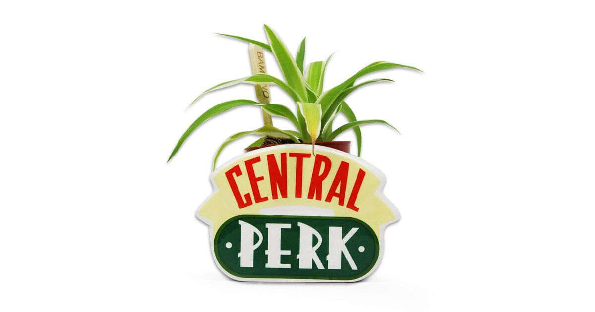 Friends Central Perk Plant Pot | Nerdom, Greece